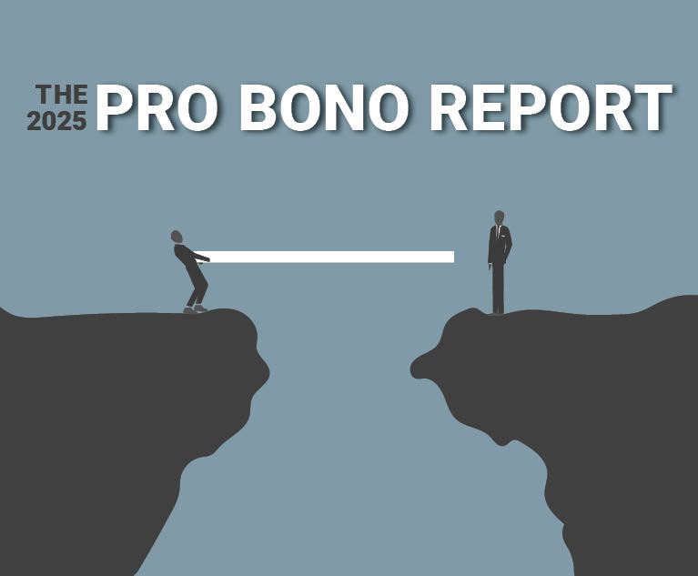 2025 Pro Bono Report